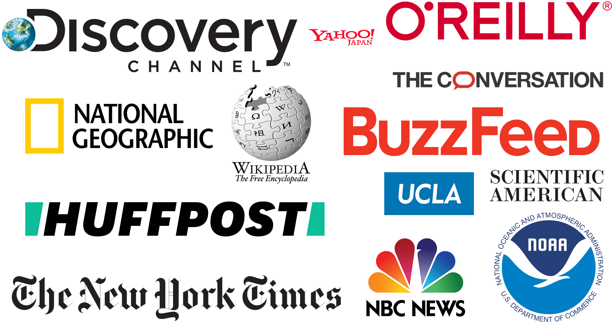 Top 10 Smallest Ocean Animals - Comprehensive Guide - The Sea Monster