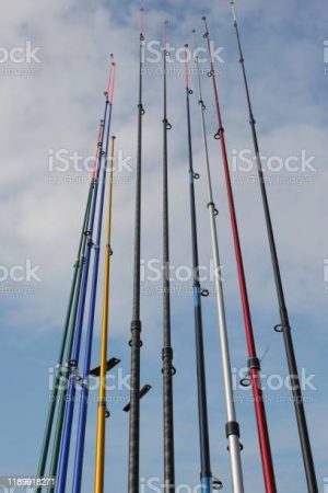 Different Fishing Rod Types and Uses Explained - The Sea Monster